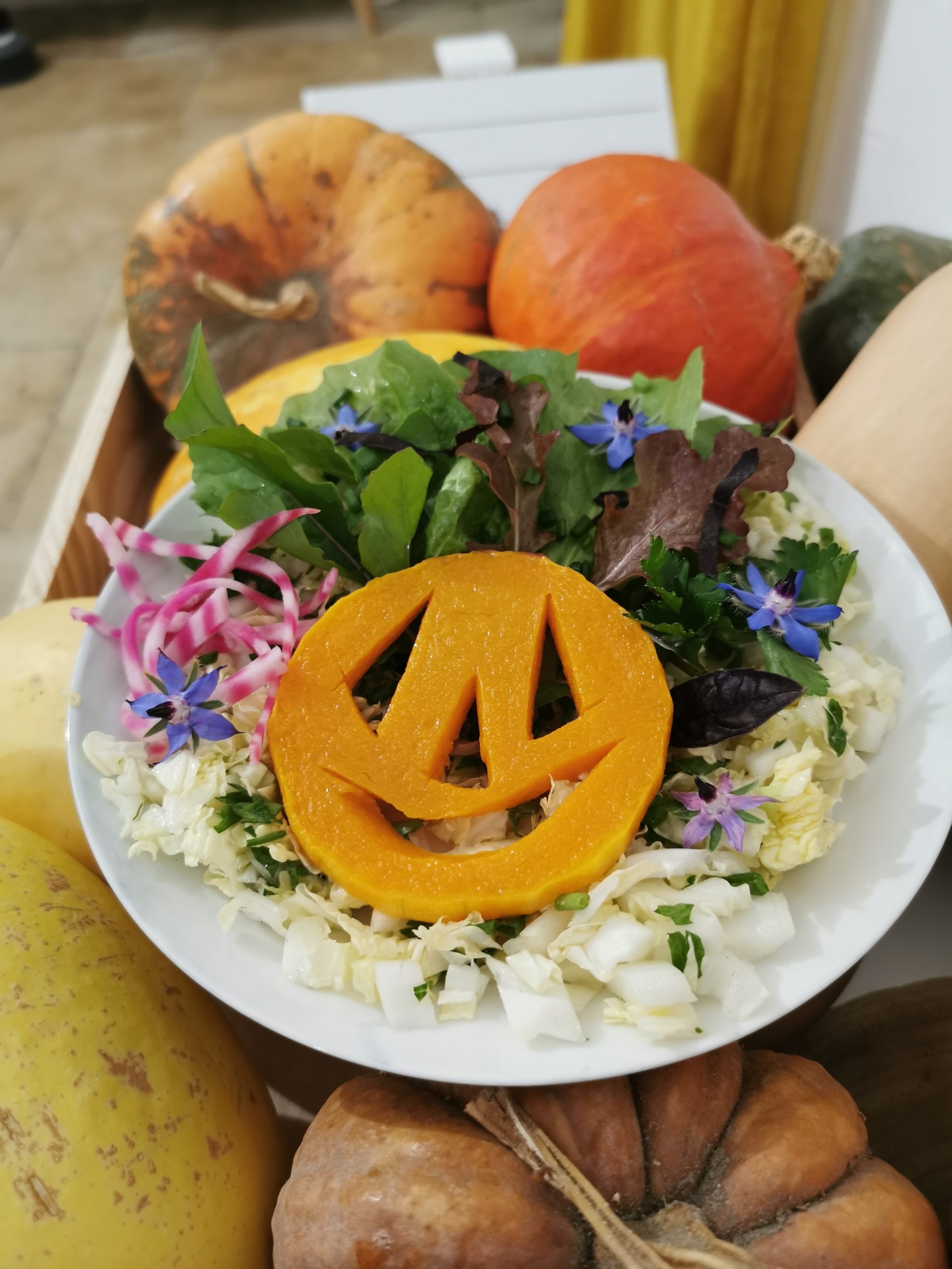 Courge Halloween - Peugeot Tristan